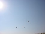 Summer Days and Life Lessons | Outside Air